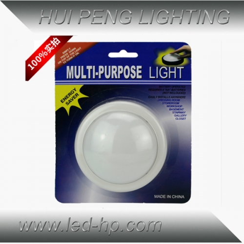 Pat Light,Panel Series